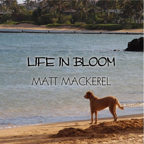 LIFE IN BLOOMMATT MACKERELマットマカレル まっとまかれる　発売日 : 2010年11月03日　種別 : CD　JAN : 4562134570294　商品番号 : YYCF-125【収録内容】CD:11.Life ...