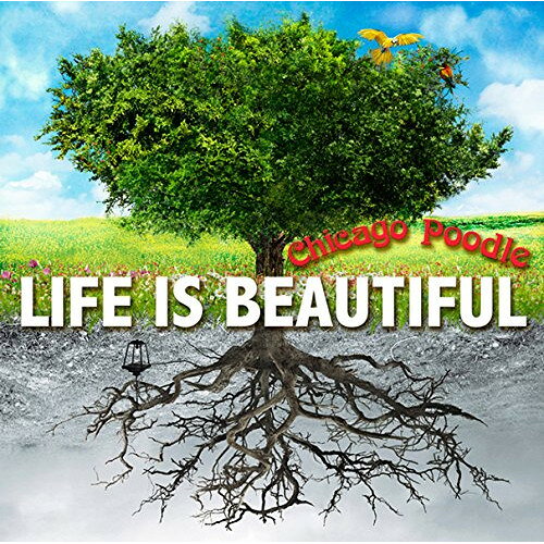 LIFE IS BEAUTIFULシカゴプードルしかごぷーどる　発売日 : 2014年9月24日　種別 : CD　JAN : 4523949078108　商品番号 : GZCA-5267【収録内容】CD:11.Life is Beautif...
