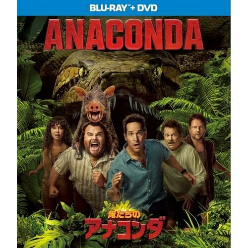 【 発売日以降の確認・発送になります 】　・発売日翌日以降の在庫状況の確認となります。　・最短でも発売日の翌日〜翌々日以降の入荷、発送となります。商品によっては長期お待たせする場合もございます。　・発売日後のメーカー在庫状況によってはお取り...