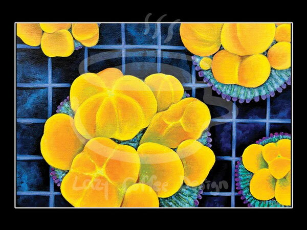 次回入荷は未定となっております。 ※ご覧のモニターやスマートフォンの画質等により、実際の色合いと見え方が異なる場合がございます。 ホビー商品という点ご了承ください。 *Style: *Size 4 x 6インチ（マット付きで5 x 7インチ...
