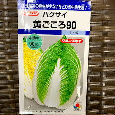 黄ごころ90 白菜 種1.2ミリリットル 約250粒 黄芯早生 90日型 1
