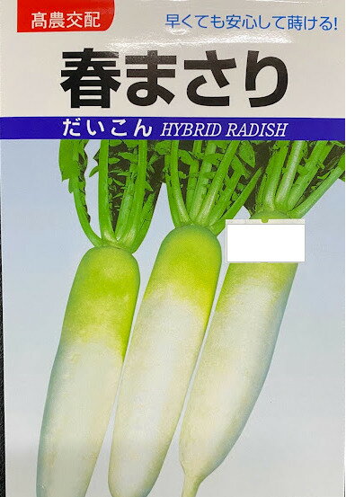 商品情報大根種子生産地：韓国　春まき専用大根種 品種名春まさり 小袋 約100粒 タカヤマシード品種 交配種 総太り系 トウ立ちが極遅く栽培は安定 よく揃う 春まき長大根の優良種 1