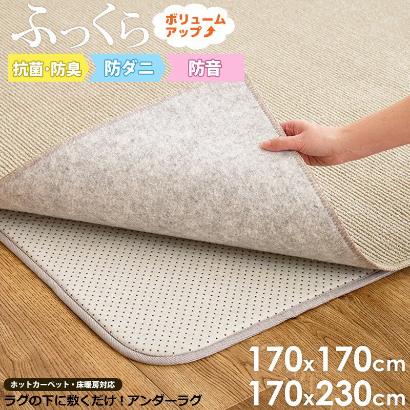ラグの下に敷くだけ！アンダーラグ 防音 防ダニ 抗菌 防臭 【170×170cm/170×230cm】 利用場所： リビング 居間 子供部屋 寝室 キッチン 台所 ワンルーム 洋室 フローリング 和室 畳部屋 ダイニング 屋内 マンション ...