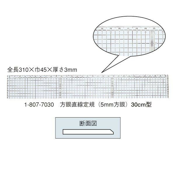 【商品説明】5mm方眼のアクリル製定規です。平行線を引いたり、四角形を描くのに便利です。【仕様】・30cm型（全長310×巾45×厚さ3mm）JAN(EAN)コード：4951754012725沖縄県と一部離島へはお届けできません。
