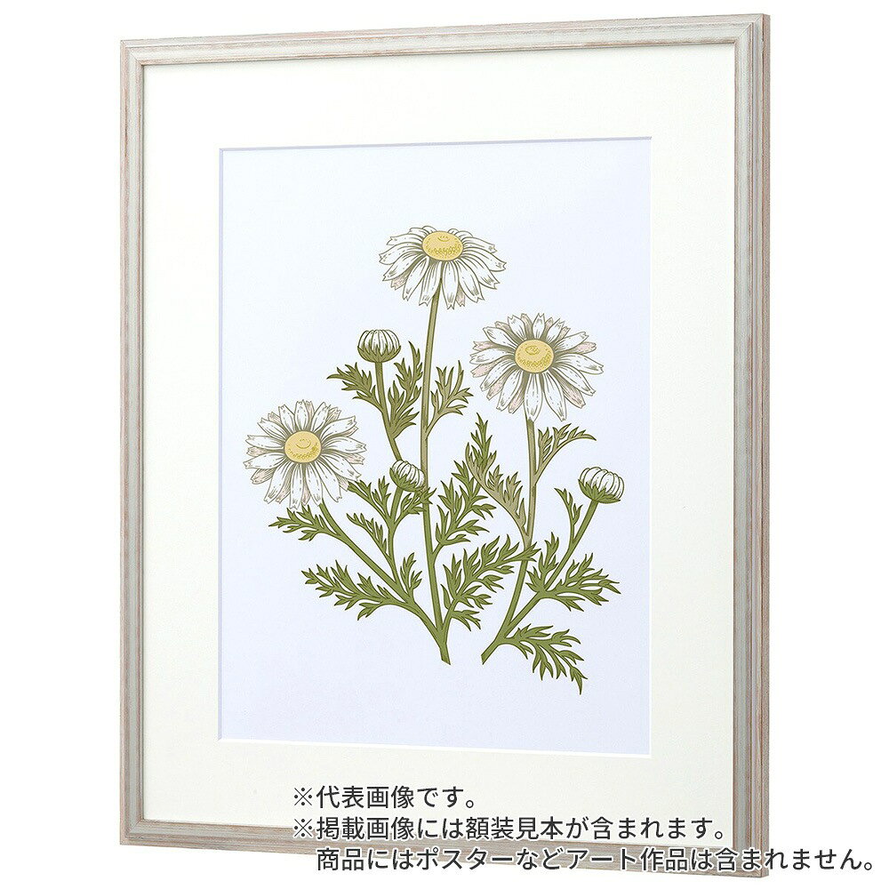 額縁カテゴリ：水彩額縁型番：朱雀カラー：白S材質：木材(パイン材)グレージング(表面)：アクリル裏板：PPコルゲート裏板仕上げ：ブラックテープ貼サイズ：水彩F6S額内寸(mm)：520×428IBMREF.：DB49174※画像は型番の代表...
