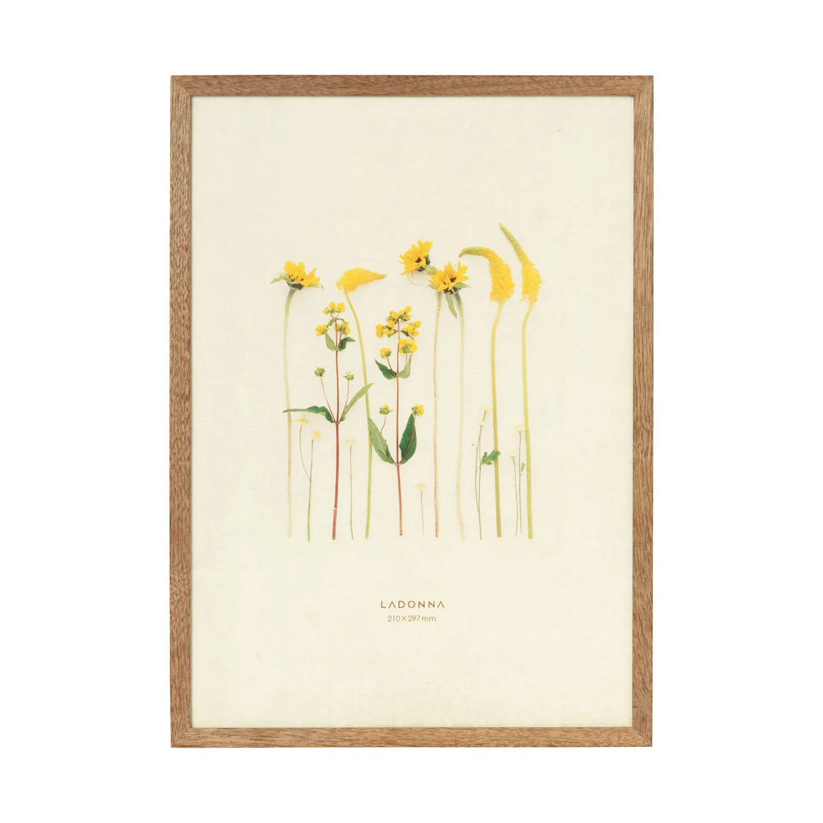 メーカー：ラドンナシリーズ：リビング型番：DF53-A4-BR外寸(mm)：226×313内寸(mm)：212×299窓寸(mm)：205×292主な材質：ウォールナット材写真サイズ：A4マットペーパー対応写真サイズ：ポストカード判、L判×...