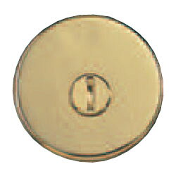 仕様色(カラー)：ゴールドショウワ製非常解錠機能付チューブラ本締錠 バックセット50mm(ワンドアーツーロックにご利用下さい。)※メーカー取寄せ商品のため、お届けまで3～5日ほどお時間を頂く場合がございます。※ご注文後のキャンセル、返品はで...