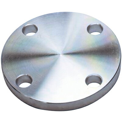 特徴溶接性・強度に優れた鍛造製のフランジです。フランジシール両面(フランジフェイス両面)は、両面シール使用可能です。仕様適用規格：JIS B2220に準拠材質SUS304※商品画像はイメージです。※こちらの商品は取寄せ品の為、入荷まで数日掛...