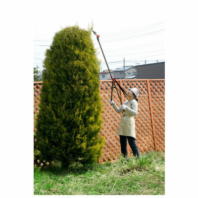 特徴全長1.8mと長く、樹木上部に伸びた枝を刈込むことができる。首振角度は0°30°60°90°と4段階切替え可能。生木8mmまで切断可能。仕様外形寸法：1870×235×70重量：1770g表面処理：ハードクロームメッキ刃渡り：150mm...