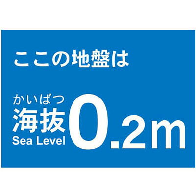 特徴屋内外使用可能です。仕様取付方法：貼付タイプ縦×横：120×170mm取付仕様：粘着シール表示内容：ここの地盤は海抜0.2m質量(g)：17材質・仕上げ塩化ビニール(PVC)注意事項貼り付ける面のゴミ・油等を拭きとってください。生産国 日本