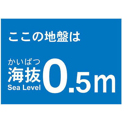 特徴屋内外使用可能です。仕様取付方法：貼付タイプ縦×横：120×170mm取付仕様：粘着シール表示内容：ここの地盤は海抜0.5m質量(g)：17材質・仕上げ塩化ビニール(PVC)注意事項貼り付ける面のゴミ・油等を拭きとってください。生産国 日本