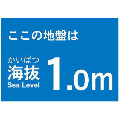 特徴屋内外使用可能です。仕様取付方法：貼付タイプ縦×横：120×170mm取付仕様：粘着シール表示内容：ここの地盤は海抜1m質量(g)：17材質・仕上げ塩化ビニール(PVC)注意事項貼り付ける面のゴミ・油等を拭きとってください。生産国 日本
