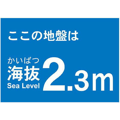 特徴屋内外使用可能です。仕様取付方法：貼付タイプ縦×横：120×170mm取付仕様：粘着シール表示内容：ここの地盤は海抜2.3m質量(g)：17材質・仕上げ塩化ビニール(PVC)注意事項貼り付ける面のゴミ・油等を拭きとってください。生産国 日本
