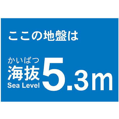 特徴屋内外使用可能です。仕様取付方法：貼付タイプ縦×横：120×170mm取付仕様：粘着シール表示内容：ここの地盤は海抜5.3m質量(g)：17材質・仕上げ塩化ビニール(PVC)注意事項貼り付ける面のゴミ・油等を拭きとってください。生産国 日本