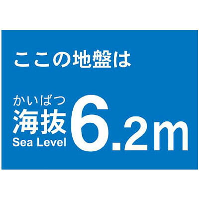 特徴屋内外使用可能です。仕様取付方法：貼付タイプ縦×横：120×170mm取付仕様：粘着シール表示内容：ここの地盤は海抜6.2m質量(g)：17材質・仕上げ塩化ビニール(PVC)注意事項貼り付ける面のゴミ・油等を拭きとってください。生産国 日本