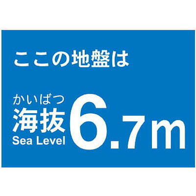 特徴屋内外使用可能です。仕様取付方法：貼付タイプ縦×横：120×170mm取付仕様：粘着シール表示内容：ここの地盤は海抜6.7m質量(g)：17材質・仕上げ塩化ビニール(PVC)注意事項貼り付ける面のゴミ・油等を拭きとってください。生産国 日本
