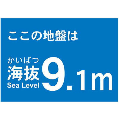 特徴屋内外使用可能です。仕様取付方法：貼付タイプ縦×横：120×170mm取付仕様：粘着シール表示内容：ここの地盤は海抜9.1m質量(g)：17材質・仕上げ塩化ビニール(PVC)注意事項貼り付ける面のゴミ・油等を拭きとってください。生産国 日本