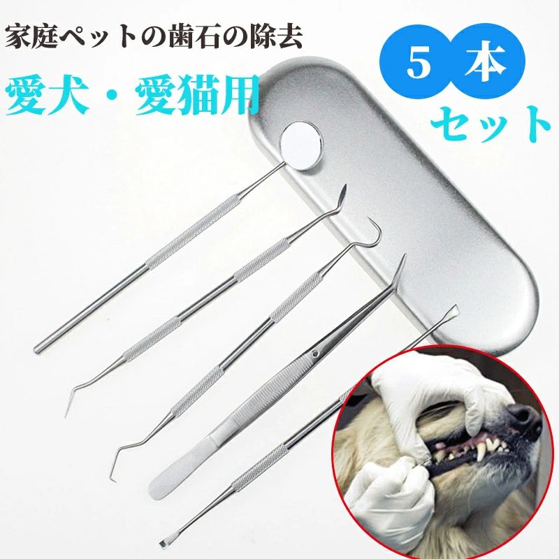 メーカー希望小売価格はメーカーカタログに基づいて掲載しています犬用スケーラー 歯石除去 歯石取り 器具 ペット 歯磨き 犬(猫) わんちゃん 口腔ケア 両頭タイプ フラットタイプ 鉤形(鎌形)タイプ5本セット ペット用ケーラー 歯石除去 歯...
