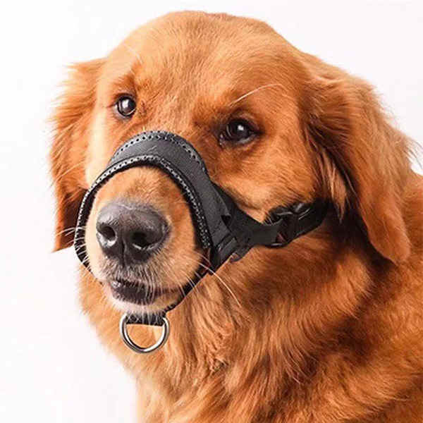 【商品詳細】 ＊噛み癖のある愛犬のトリミングの時や、少しだけ落ち着いて欲しい時に使用できます。 ＊口輪をつけてのお散歩は、口元に神経を集中させるので、拾い食い、威嚇などの迷惑行為防止のトレーニングになります。 ＊ドッグランなどで遊ばせる時も...