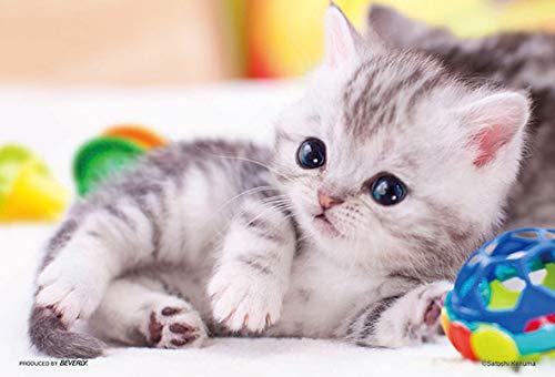 ジグソーパズル 猫 コレクション PUZZLES