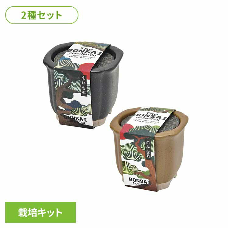 Japanese Styleの盆栽栽培セット。金色の印刷を贅沢にあしらったパッケージと、ざらりとした風合いのある陶器が絢爛な、高級感の漂う盆栽の栽培セット。日本らしくユニークな贈り物としてもぴったり。【松】盆栽と言えば松ですが庭木に植えても...