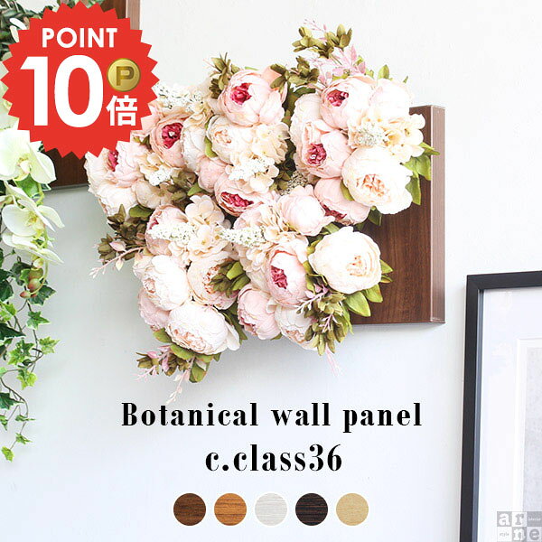 Botanical c.class 36■サイズ約幅445 奥行き30 高さ290 mmグリーンパーツを含む場合の奥行き（目安）：約200〜350 mm（※グリーンパーツの種類によって異なります）梱包サイズ：幅460 奥行き310 高さ31...