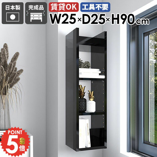 Mirai ウォールラックスキマ 252590 blackサイズ約幅250 奥行き250 高さ900 mm板厚：22 mm材質メラミン樹脂化粧合板カラーブラック※モニターなどの閲覧環境によって、実際の色と異なって見える場合がございます。重量...