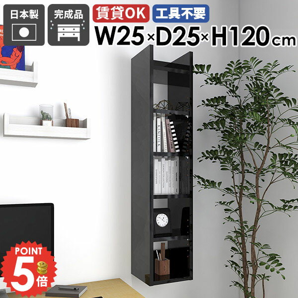 Mirai ウォールラックスキマ 2525120 blackサイズ約幅250 奥行き250 高さ1200 mm板厚：22 mm材質メラミン樹脂化粧合板カラーブラック※モニターなどの閲覧環境によって、実際の色と異なって見える場合がございます。...