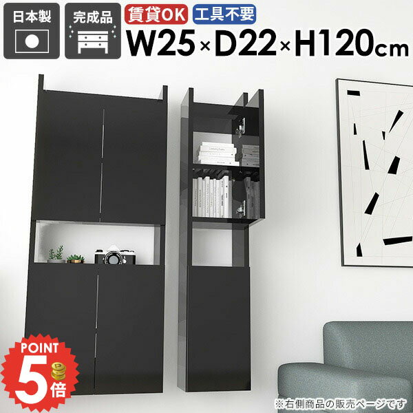 Mirai ウォールラックスキマDX 2522120 Blackサイズ約幅250 奥行き220 高さ1200 mm板厚：22 mm材質メラミン樹脂化粧合板カラーブラック※モニターなどの閲覧環境によって、実際の色と異なって見える場合がございま...