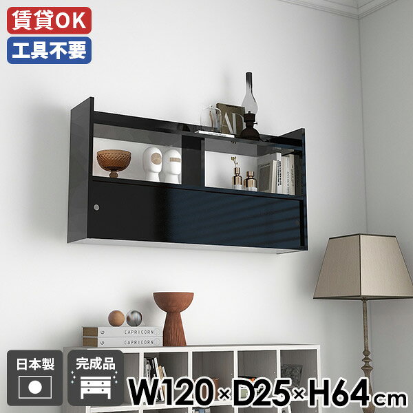 Mirai ウォールキャビ 引戸B 1202564 blackサイズサイズ：約幅1200 奥行き250 高さ640 mm内寸(上段)：約幅567 奥行き250 高さ236 mm内寸(下段)：約幅567 奥行き201 高さ236 mm板厚：2...