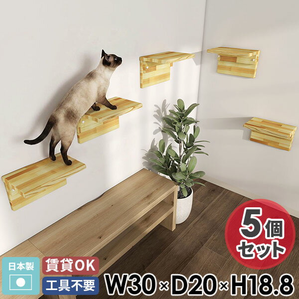 arneco Cat Wall 幅30cm 5個セット 杉材サイズ約幅300 奥行200 高さ188 mm板厚：約20 mm材質杉集成材（無塗装）カラー杉材※モニターなどの閲覧環境によって、実際の色と異なって見える場合がございます。仕様均等...