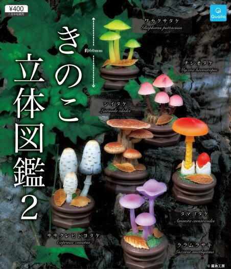 【1月中旬頃に入荷予定】 Qualia きのこ立体図鑑2 【全6種セット】 新品・未開封品 リアルなキノコのフィギュアに待望の第二弾が登場です！ 【セット内容】 ・ワカクサタケ ・チシオタケ ・シイタケ ・タマゴタケ ・ササクレヒトヨタケ ...