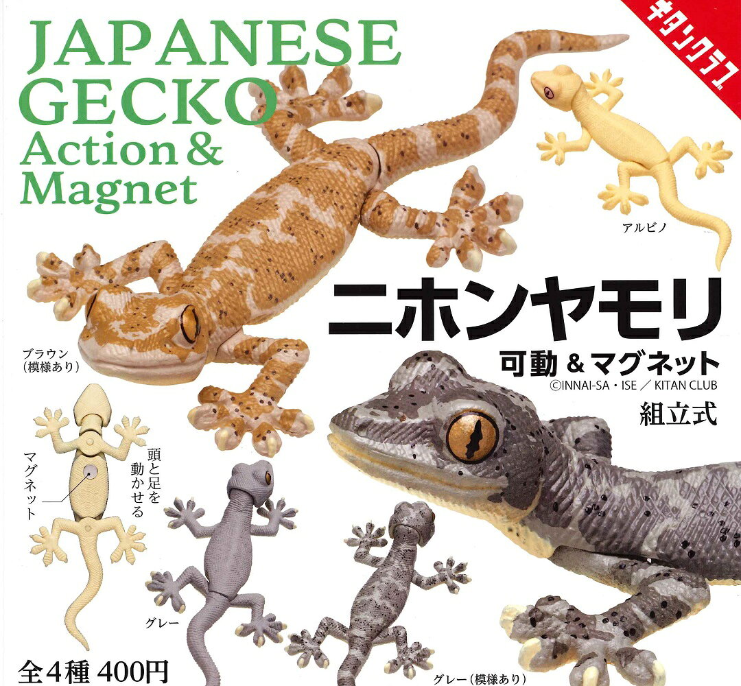 奇譚クラブ ニホンヤモリ 可動&マグネット 【各種】 新品・未開封品 デカい！動く！くっつく！ 【セット内容】 『全4種セット』 ・グレー ・アルビノ ・グレー（模様あり） ・ブラウン（模様あり） 『2種セット』 ・グレー（模様あり） ・ブ...