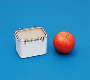 サイズ 120×98×91Hmm 材　質 本体：ポリプロピレン フタ：AS 留具：ステンレス パッキン：シリコン 容　量 550ml 耐熱温度 本体/80℃ フタ/80℃ 最高の密閉性能。「タイトボックス」シリーズ バラエティーに富んだ種類...