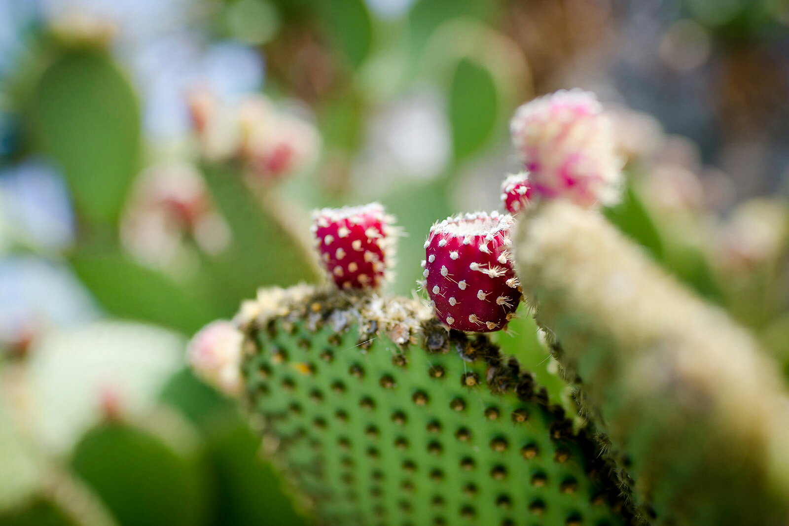 アートパネルやアートボードでおしゃれな部屋に！壁掛けファブリックパネル artmart 商品の特徴 artmartは自分のお部屋に合わせて好みのアートが選べる画期的なアートボードです。高級キャンバス地に次世代高解像度プリンターで鮮明かつ耐久...