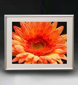 油絵 絵画 直筆仕上げ Flowers フラワーズ ♯030 アートフレーム サイズ 額入りM 【油彩 布キャンバス 国内生産】 花の絵 静物画 511×418mm インテリアアート 複製画 送料無料 絵画 販売 インテリア 油絵 油彩 壁...