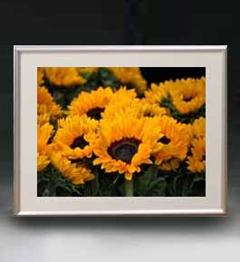 油絵 絵画 直筆仕上げ Flowers フラワーズ ♯050 アートフレーム サイズ 額入りM 【油彩 布キャンバス 国内生産】 花の絵 静物画 511×418mm インテリアアート 複製画 送料無料Flowers フラワーズ 50