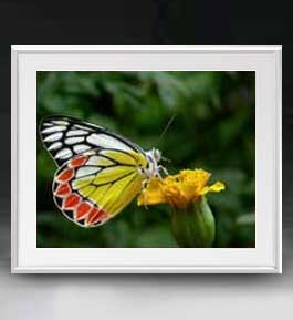 油絵 絵画 直筆仕上げ Flowers フラワーズ ♯015 アートフレーム サイズ 額入りL 【油彩 布キャンバス 国内生産】 花の絵 静物画 641×531mm インテリアアート 複製画 送料無料 絵画 販売 インテリア 油絵 油彩 壁...