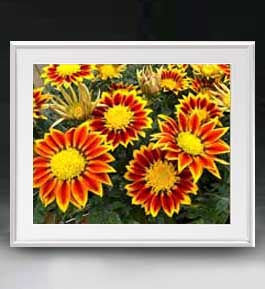 油絵 絵画 直筆仕上げ Flowers フラワーズ ♯017 アートフレーム サイズ 額入りL 【油彩 布キャンバス 国内生産】 花の絵 静物画 641×531mm インテリアアート 複製画 送料無料 絵画 販売 インテリア 油絵 油彩 壁...