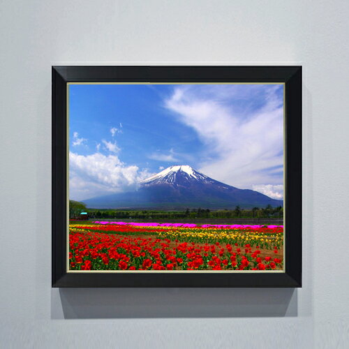 額縁外寸サイズ ---------------------------------------------- ブラックA/ホワイトA 560×485mm ブラックB/ホワイトB 596×521mm クラシックゴールド/クラシックシルバー 6...