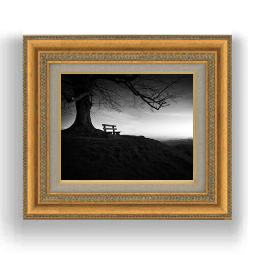 額縁外寸サイズ ---------------------------------------------- ゴールドC/シルバーC 422×370mm ブラウン/ベーシック 420×368mm ----------------------...