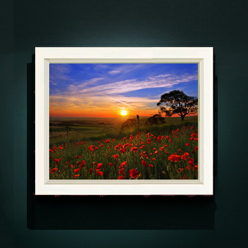 額縁外寸サイズ ---------------------------------------------- ブラックA/ホワイトA 476×384mm ブラックB/ホワイトB 502×420mm クラシックゴールド/クラシックシルバー 5...