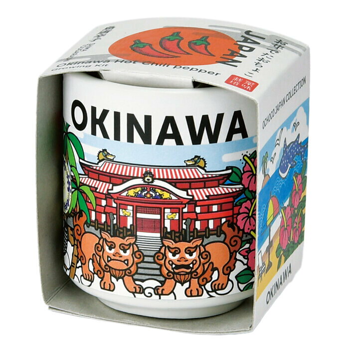 日本の観光都市をモチーフにした栽培セットに新しい都市が仲間入り!ポップで楽しい風景イラストがぐるりと描かれたオリジナルおちょこで各都市にゆかりのあるハーブや野菜を育てます。植物のお世話をするたびに、 楽しい旅やあなたの故郷を思い出してね。[...