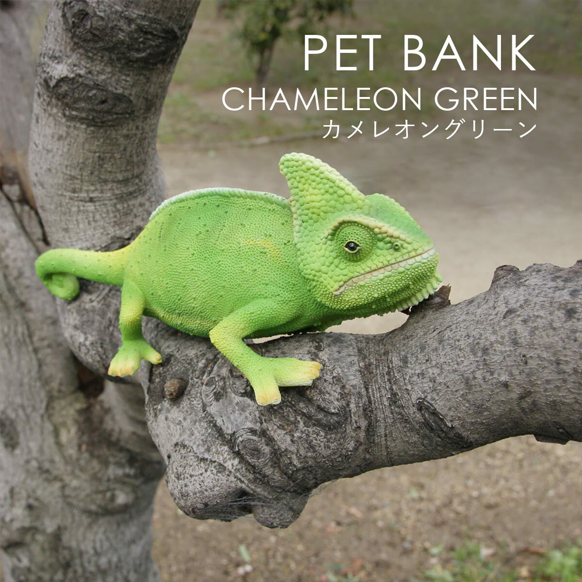 ↓↓ PET BANKシリーズ一覧 ↓↓ シリーズ名 PET BANK（ペットバンク）シリーズ 商品名 CHAMELEON GREEN（カメレオングリーン） サイズ W250×H75×D100 mm 素材 ポリレジン 重量 250g 製造国...