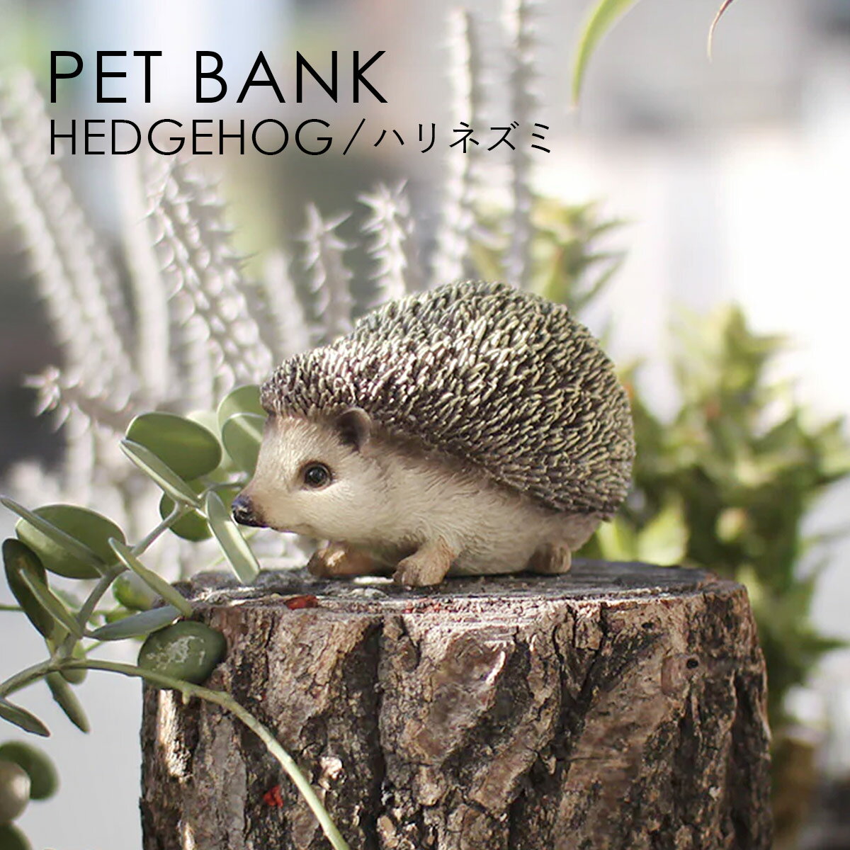 ↓↓ PET BANKシリーズ一覧 ↓↓ シリーズ名 PET BANK（ペットバンク）シリーズ 商品名 HEDGEHOG（ハリネズミ） サイズ W95×H85×D140 mm 素材 ポリレジン 重量 295g 製造国 中国 ご注意 素材の性...