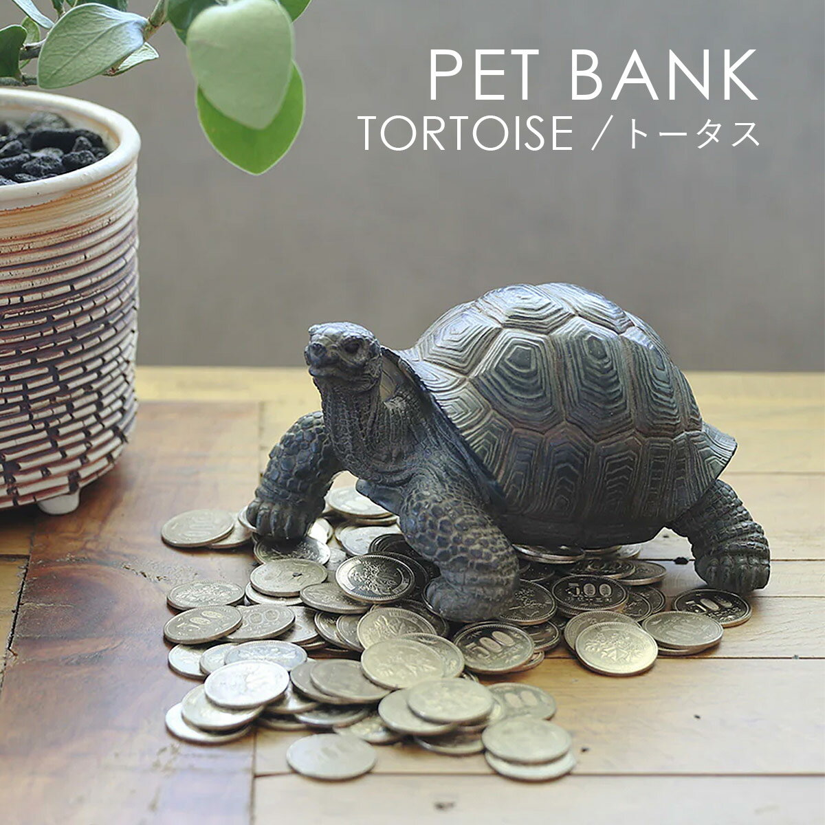 ↓↓ PET BANKシリーズ一覧 ↓↓ シリーズ名 PET BANK（ペットバンク）シリーズ 商品名 TORTOISE（トータス） サイズ W165×H90×D115 mm 素材 ポリレジン 重量 470g 製造国 中国 ご注意 素材の性...