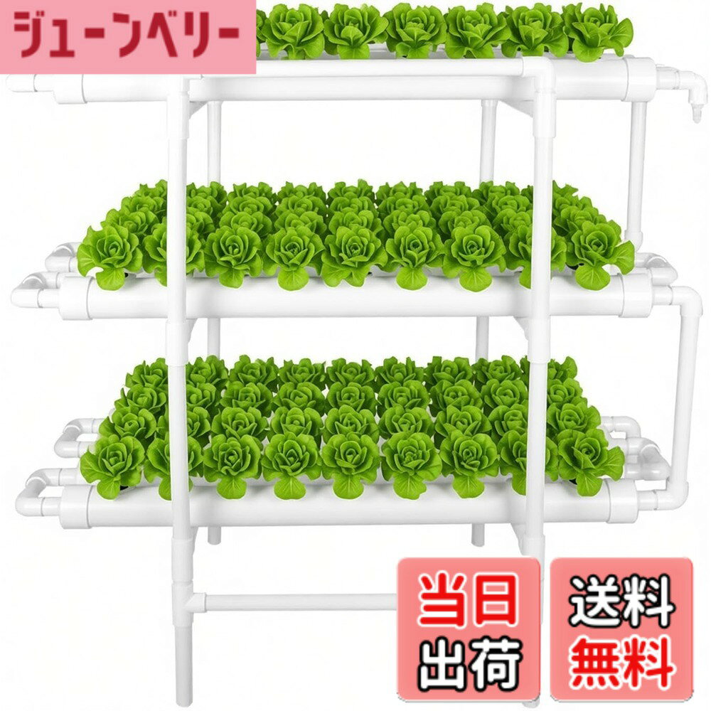 商品情報 商品の説明 主な仕様 【初心者に最適】この水耕栽培屋外栽培システムは、迅速で最大限の利便性を持つ野菜栽培のために設計されています。初心者に最適です！酸素を含んだ水と栄養素が根に直接届くので、土で育てた野菜よりも栄養価が高く、味も良...