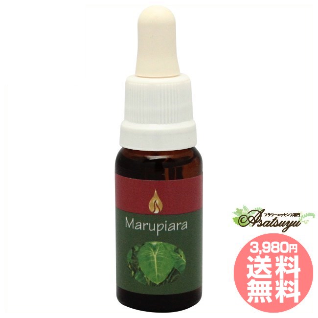 メーカー名 AraretamaEssenceiasNaturaisLTDA-ME シリーズ名 アラレタマ 商品名 マルピアラ 原材料/品質 水・海塩・アルコール類・その他 内容量 15ml 賞味期限 パッケージに記載 製造者 Arareta...