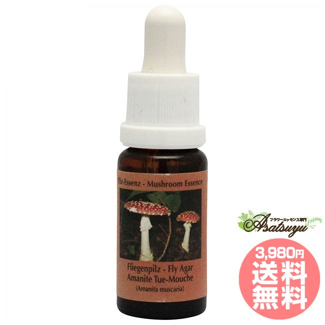 メーカー名 PHIEssencesBV シリーズ名 コルテPHIエッセンス 商品名 フライアガリック 原材料/品質 水・海塩・アルコール類・その他 内容量 15ml 賞味期限 パッケージに記載 製造者 PHIEssencesBV 生産国 オ...