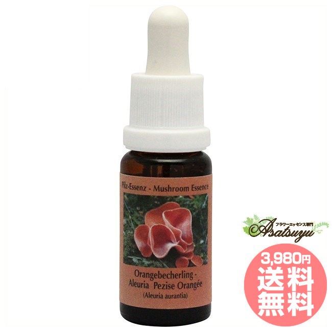 メーカー名 PHIEssencesBV シリーズ名 コルテPHIエッセンス 商品名 アレウリア 原材料/品質 水・海塩・アルコール類・その他 内容量 15ml 賞味期限 パッケージに記載 製造者 PHIEssencesBV 生産国 オランダ...